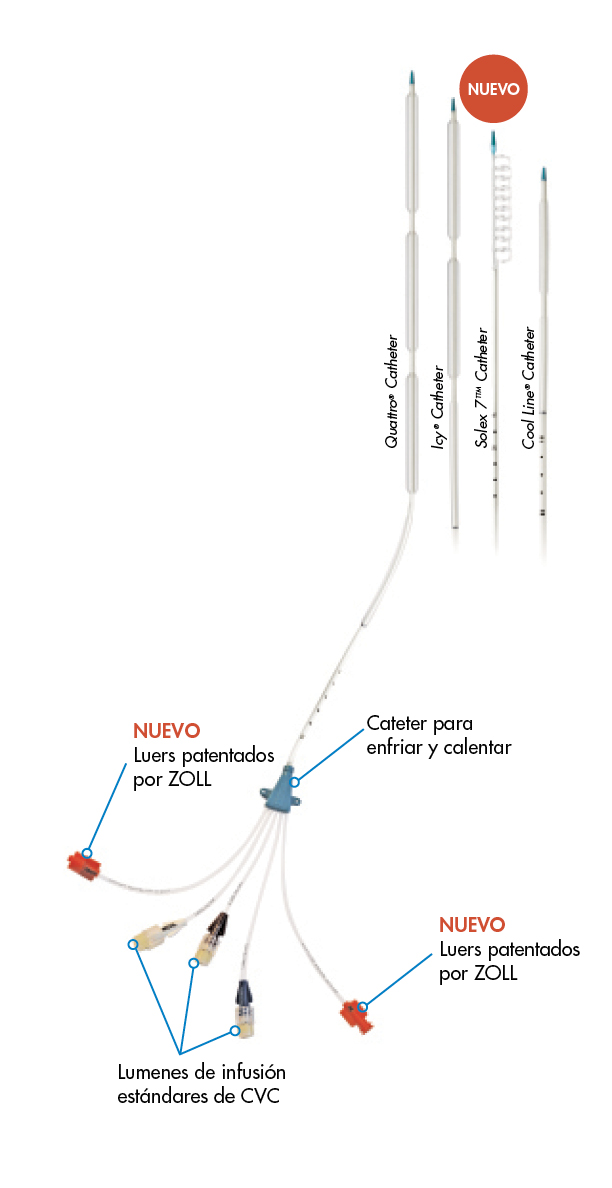 Familia de catéteres: gestión de la temperatura